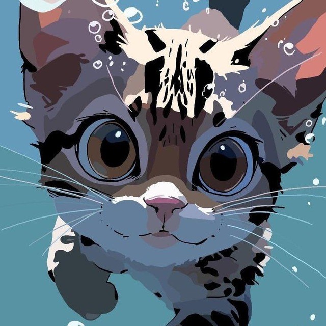 Статистика Telegram-канала "Забавный котик" — DgL9dn04DnhmN2Vi — TGStat